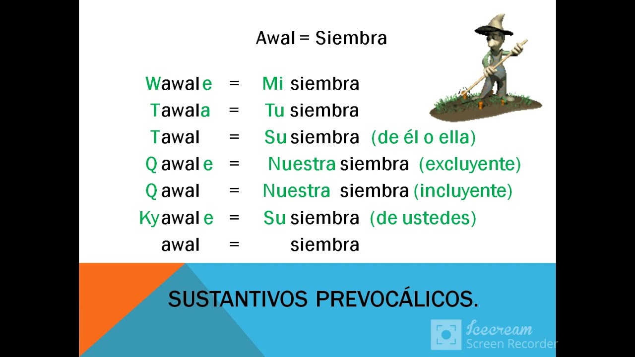 Adjetivos posesivos en idioma mam, reglas gramaticales - YouTube