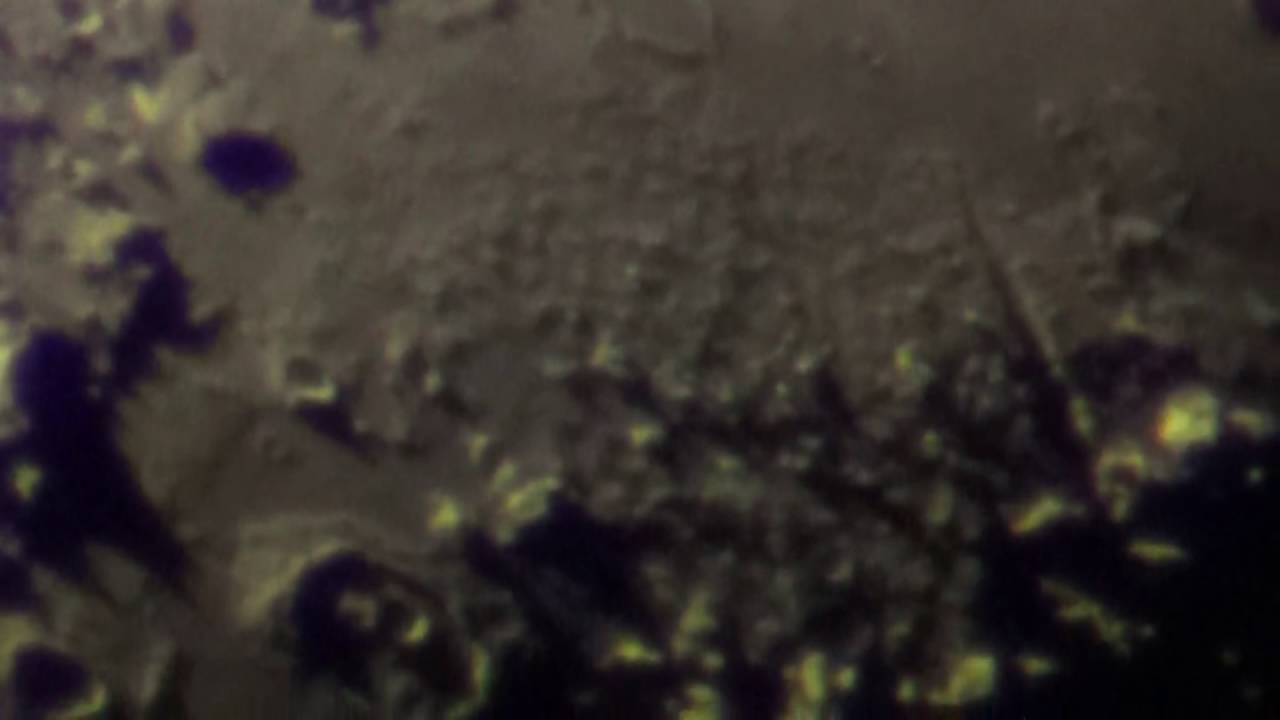 LIVE MOON TELESCOPE View (sorry the stabilizer broke & it shakes) - YouTube