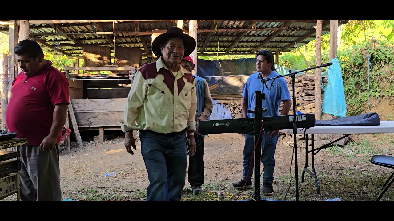 Órgano Selvático en Caballo Rucio, Yucuhiti. - YouTube