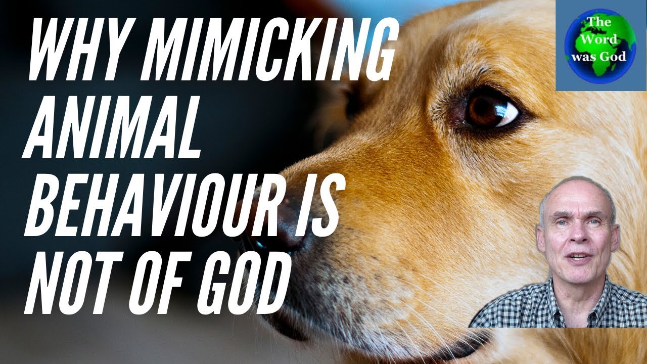 Why mimicking animal behaviour is not of God - YouTube