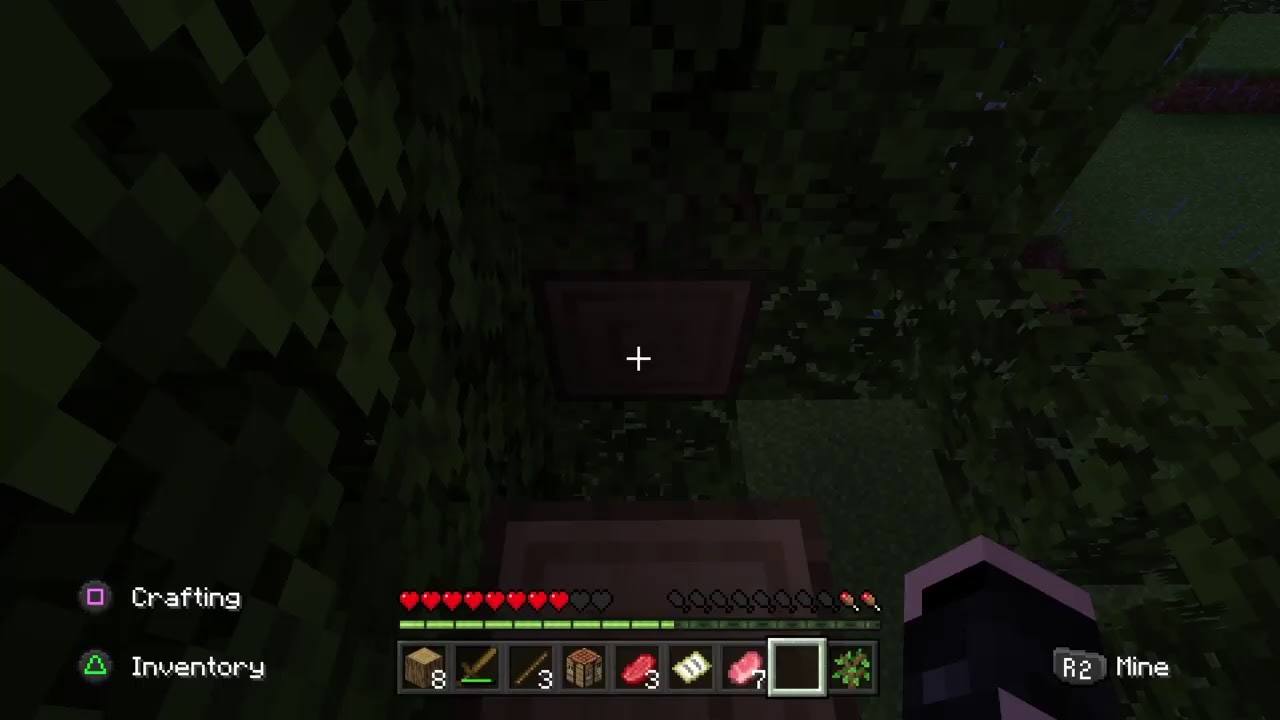Minecraft speed run vs. Hunter - YouTube