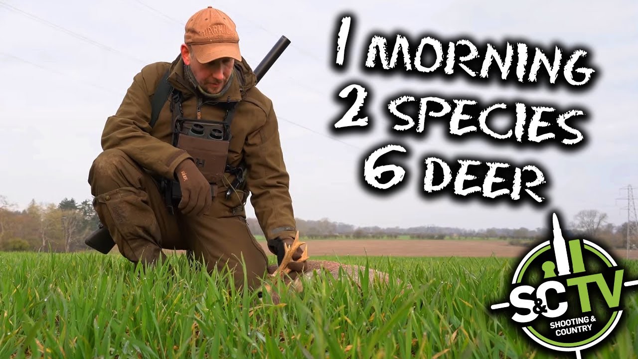 S&C TV | 6 deer 2 species hunt | Deer management with Chris Rogers 22 - YouTube