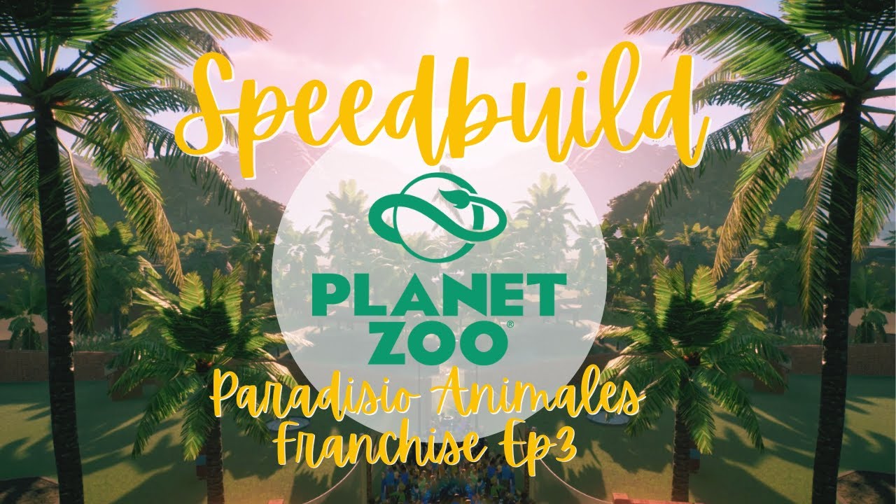Speedbuild 3 | Planet Zoo Franchise Paradiso Animales - YouTube