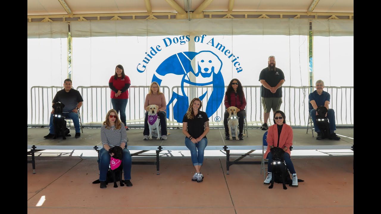 Guide Dog Graduation #415 - YouTube
