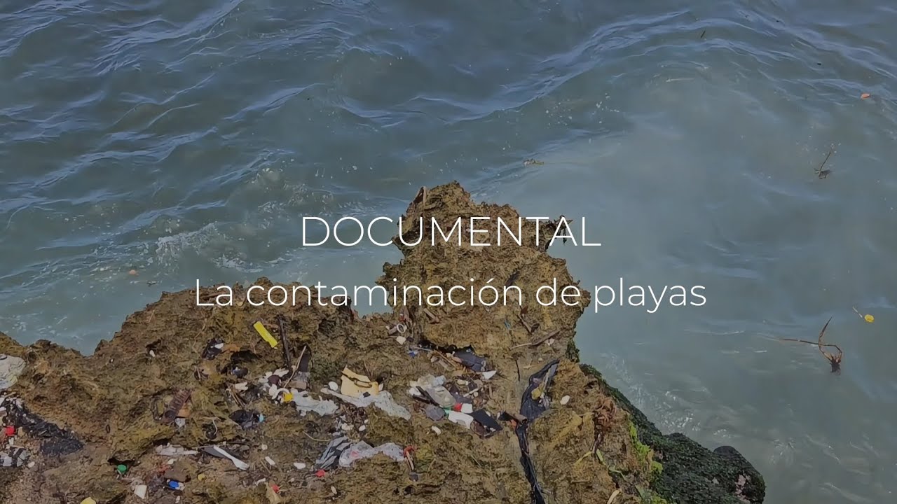 DOCUMENTAL: la contaminación de Playas; Playa Güibia, SD - YouTube
