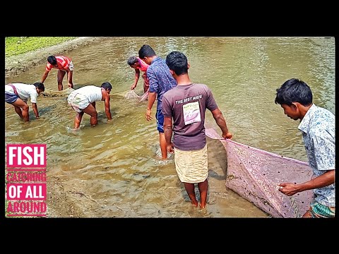 The best way to make pona fish from eggs in the pond || Fish catching ...