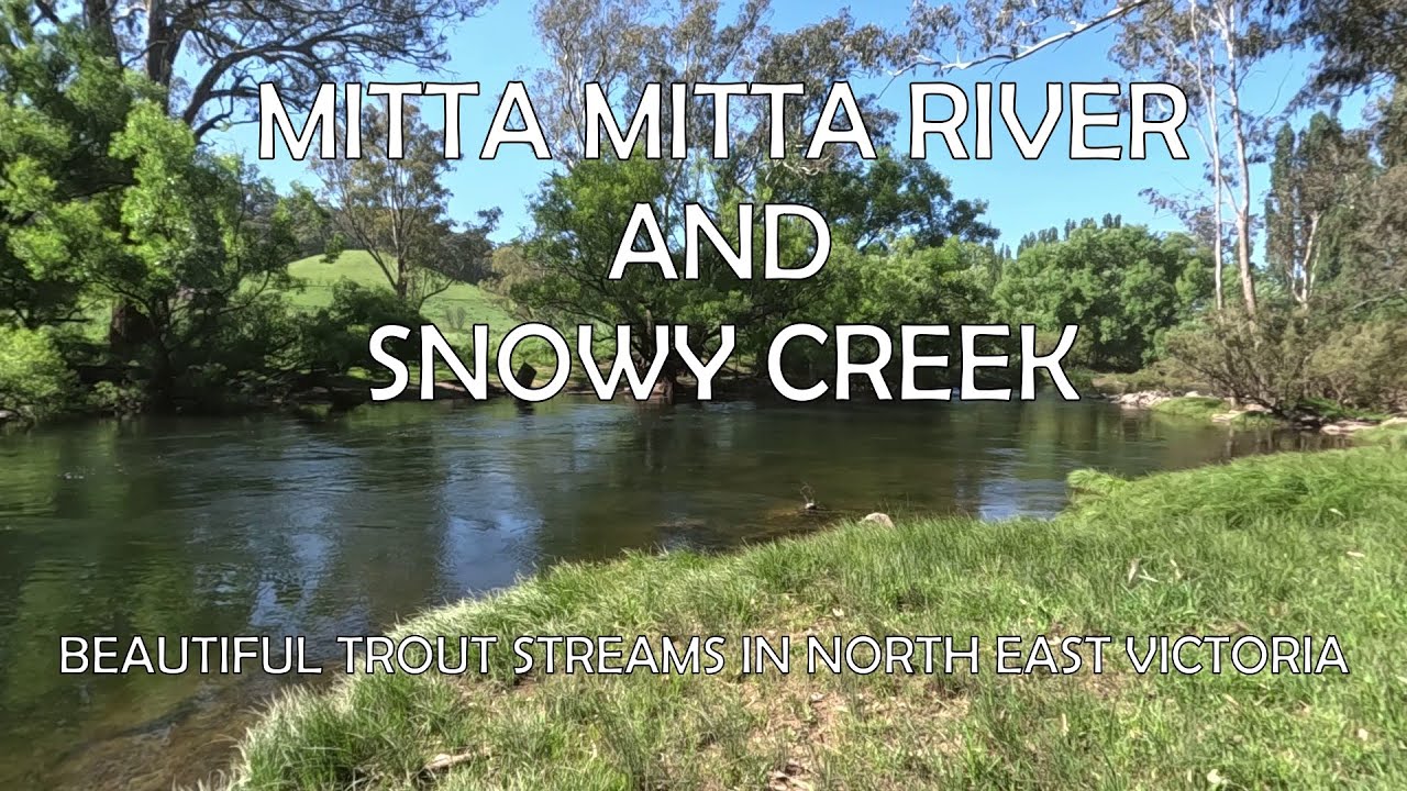 Mitta Mitta River and Snowy Creek - Beautiful trout streams in North East Victoria - YouTube