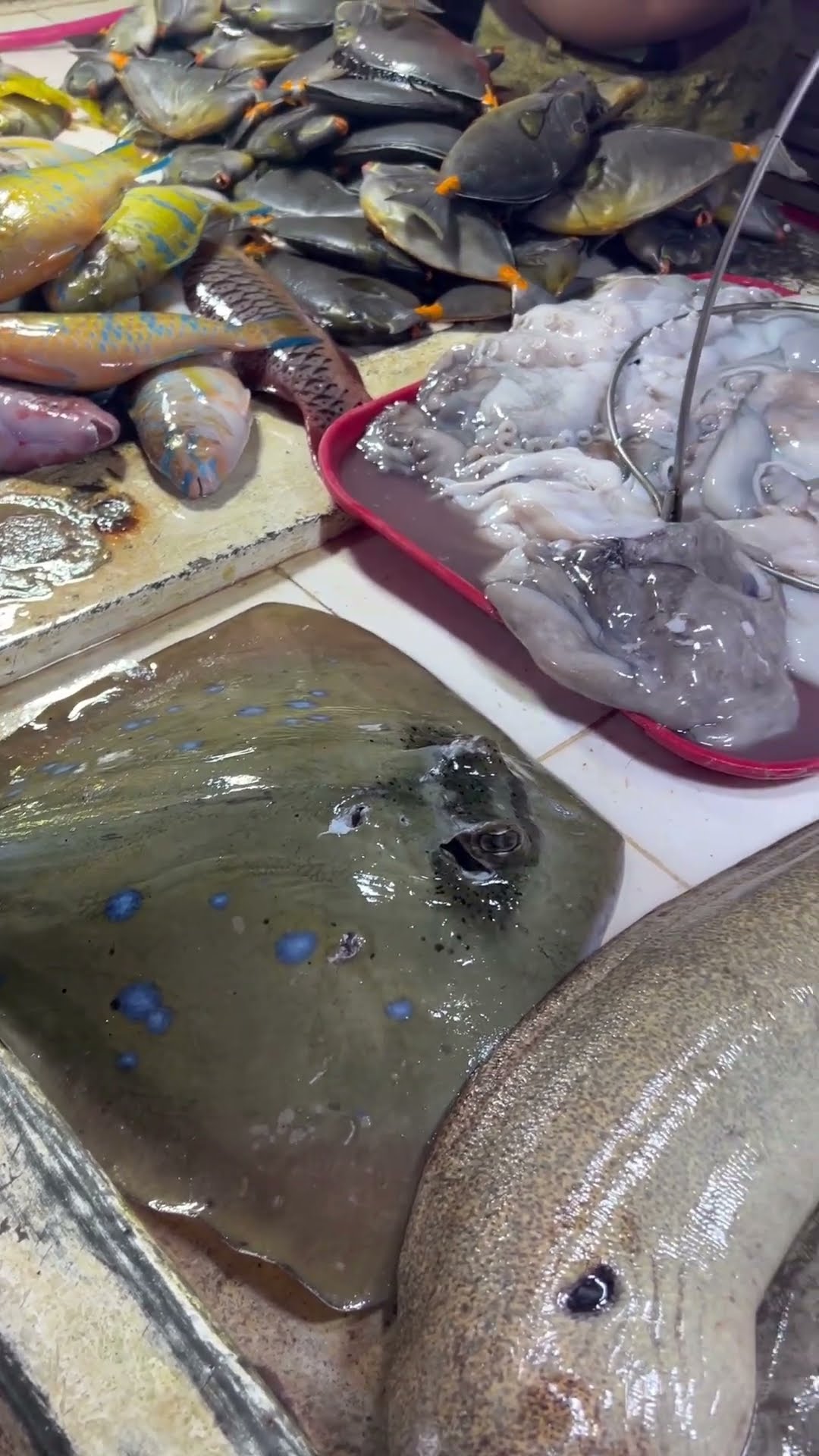 Part 5 ( isda sa guiuan eastern samar) - YouTube