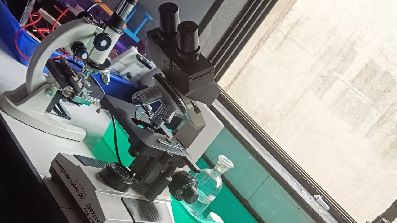 Direct Microbial Count Using Microscope – Breed's Count Method # ...