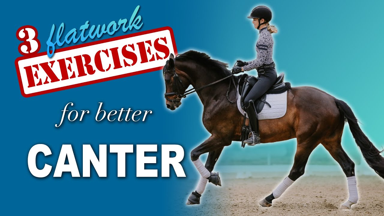 Here Are Some Exercises To Help You Ride Smooth Canter Raising Canter