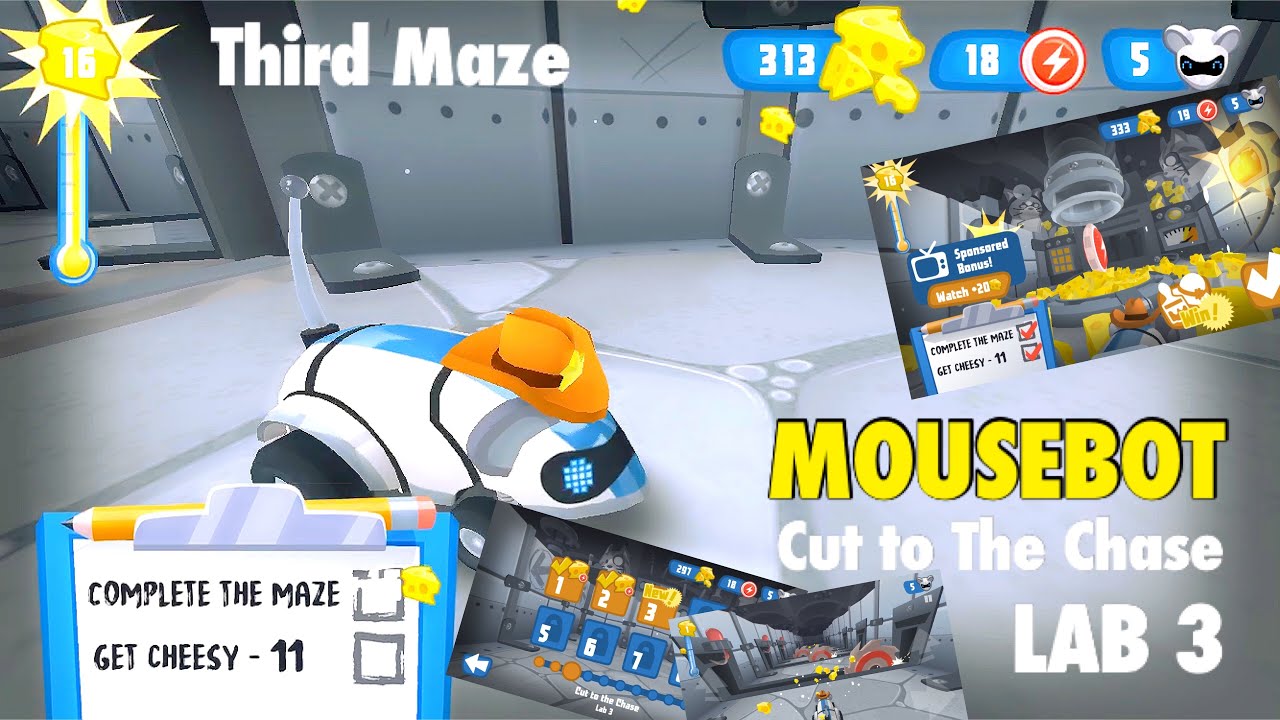 MOUSEBOT LAB 3 | CUT TO THE CHASE Third Maze - YouTube