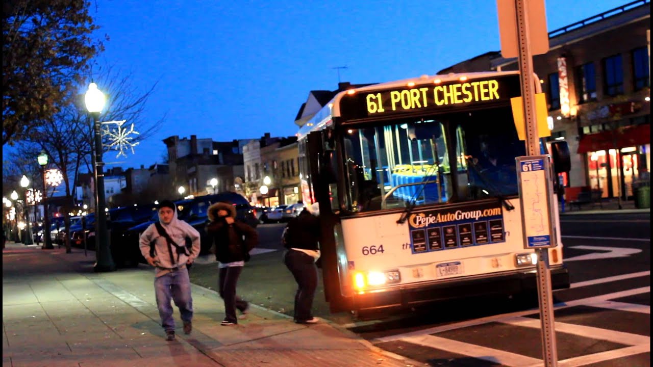 Bee-Line Bus: Port Chester Bound Orion 5 [#664] Route 61 at Mamaroneck ...