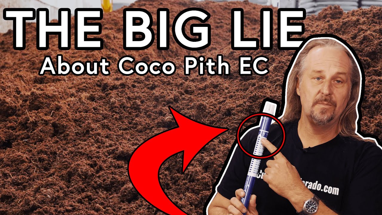 Coco Pith EC: You Were LIED To - YouTube