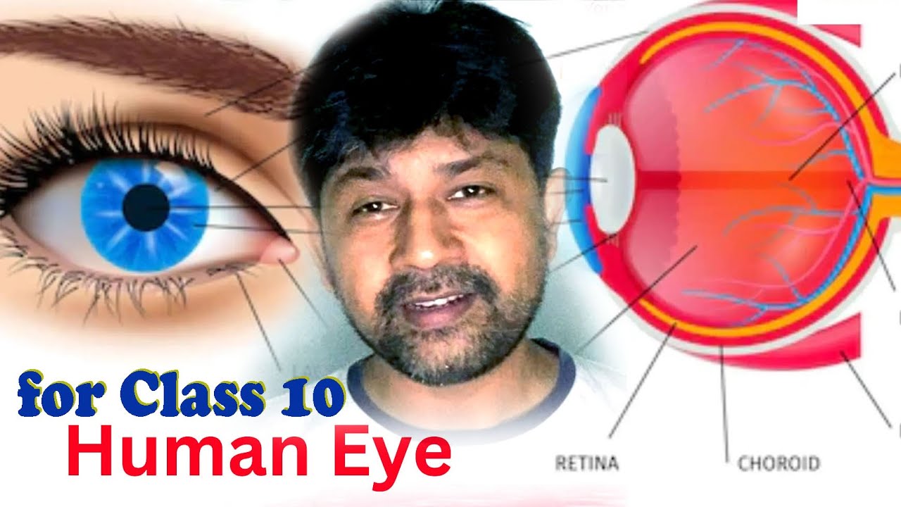 Human Eye #For class 10 - YouTube