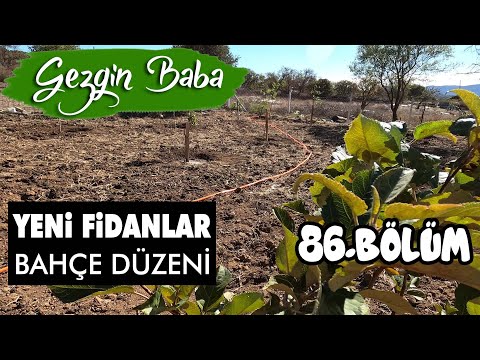 Yeni Meyve Fidanları Aldık | Fidan Dikimi | Bahçemizi Düzenliyoruz | Gezgin Baba | 86.Bölüm