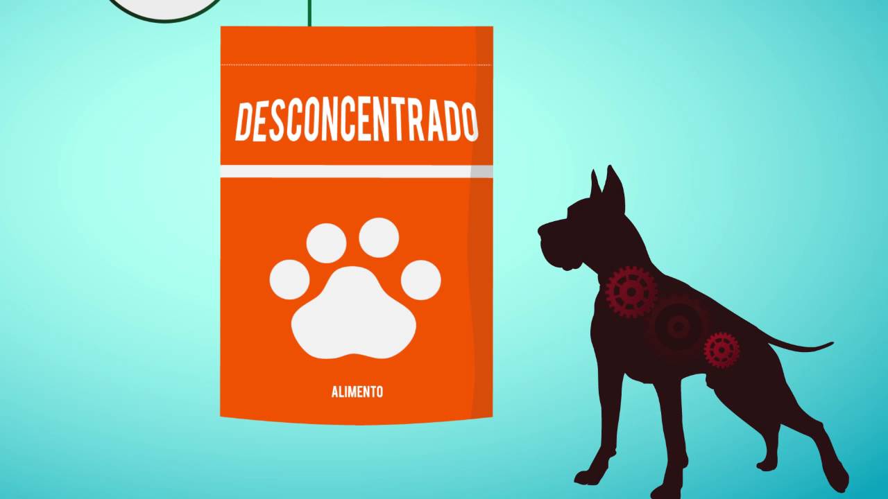 DOGO COLOMBIA | Natural Pet Food - YouTube