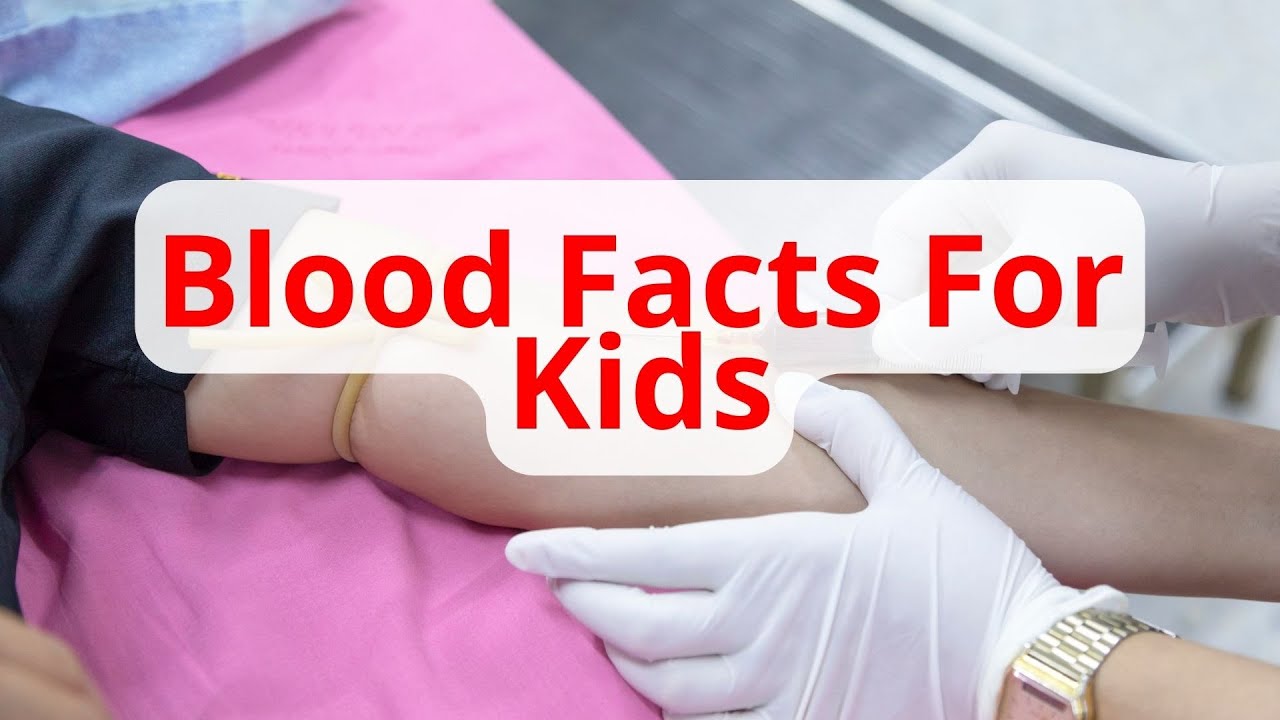 Blood Facts For Kids - YouTube