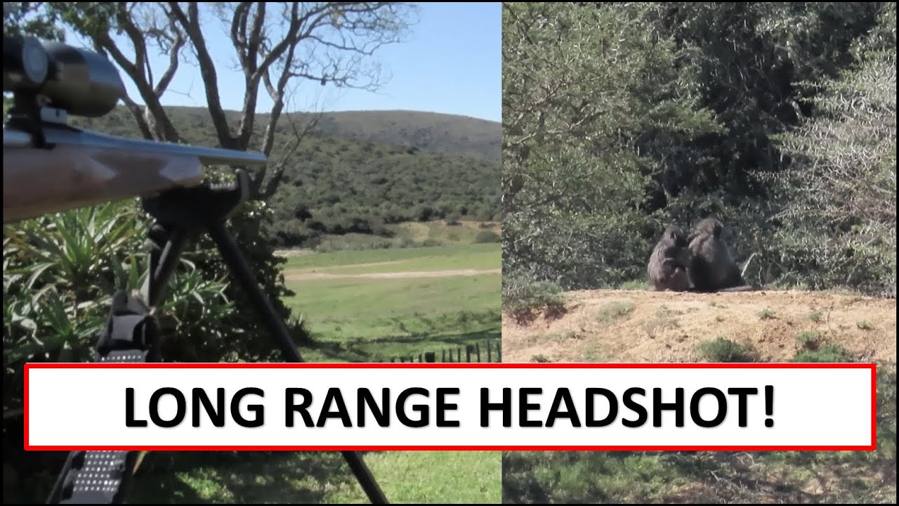 Long Range Baboon Hunt - YouTube