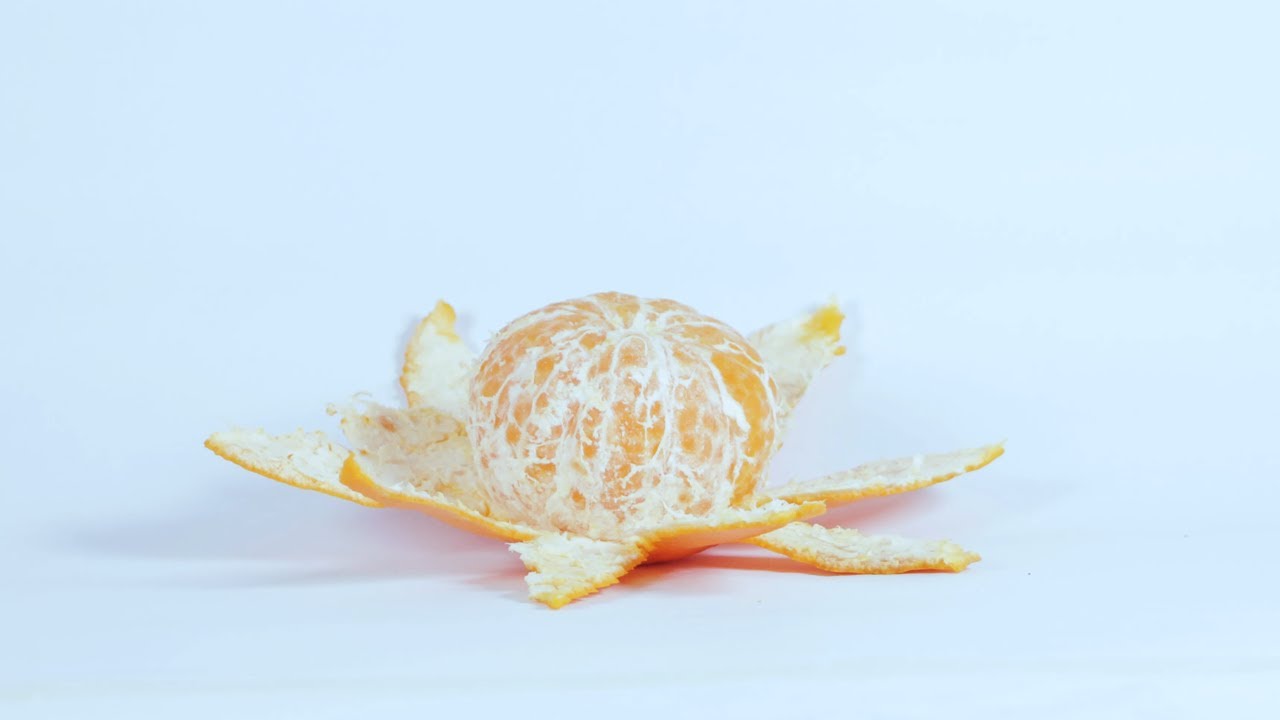 Peel Here Exhibition Documentary Video - YouTube