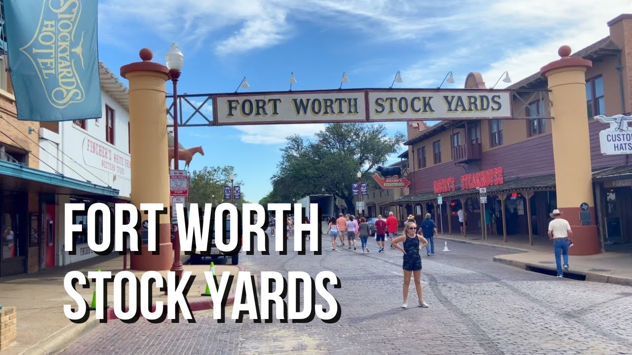 [4K] Fort Worth Stock Yards Cattle Drive Walking Tour - YouTube