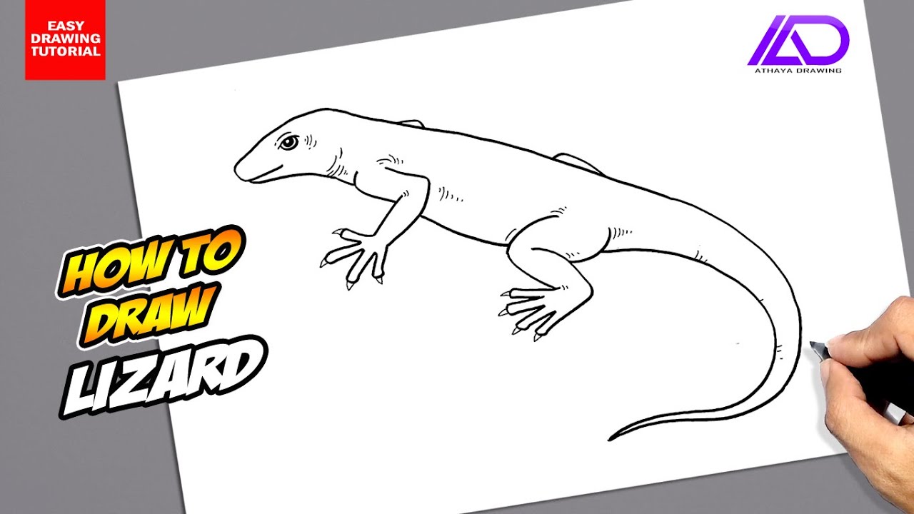 How to draw Lizard - YouTube