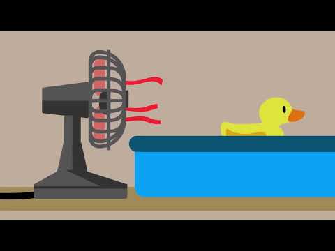 Rube-Goldberg Animation