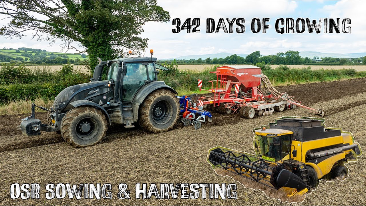 OSR Sowing & Harvest | 342 Days of growing | Carsehall Farm - YouTube