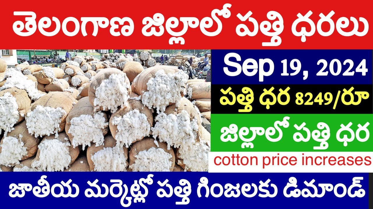 19-9-2024 today cotton price-cotton rate today-adoni pathi price ...