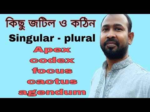 Plural Form of Apex: Apexes or Apices? (Definitive Guide) - GetAcademy.blog