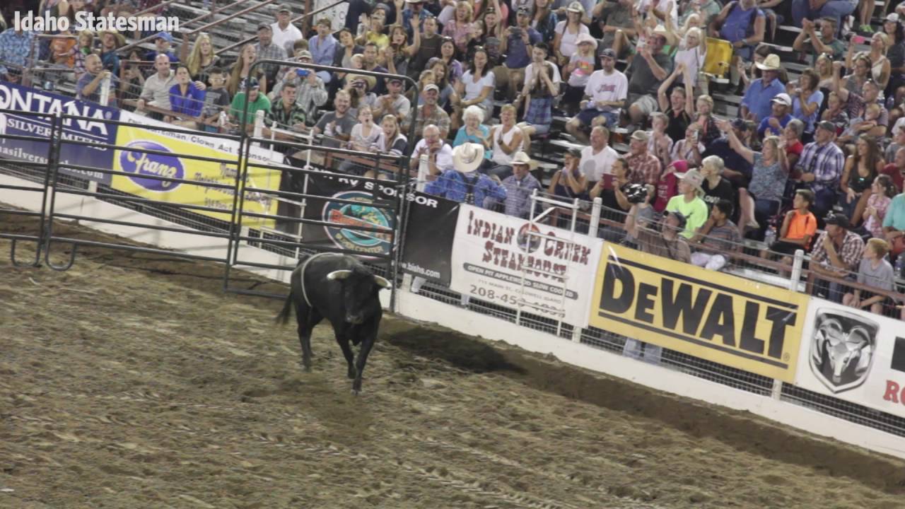 Bull vs. bullfighter: Stunts, acrobatics and a bunch of excitement ...