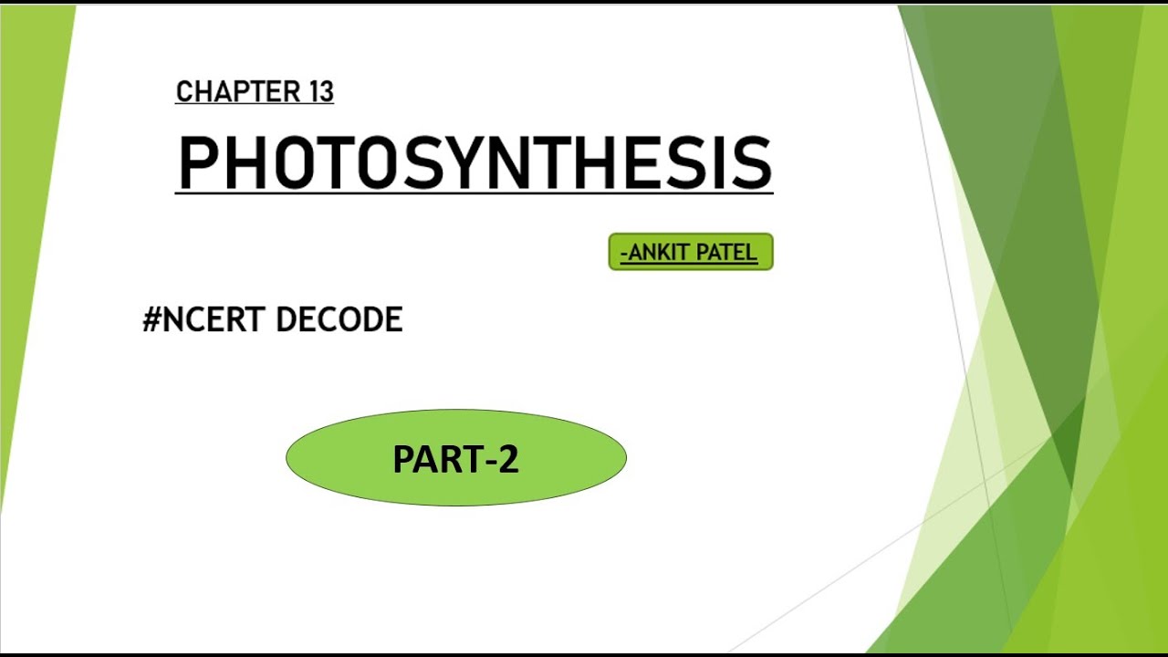 PHOTOSYNTHESIS FOR HIGHER PLANTS PART -2 | NCERT DECODE | ANKIT PATEL - YouTube