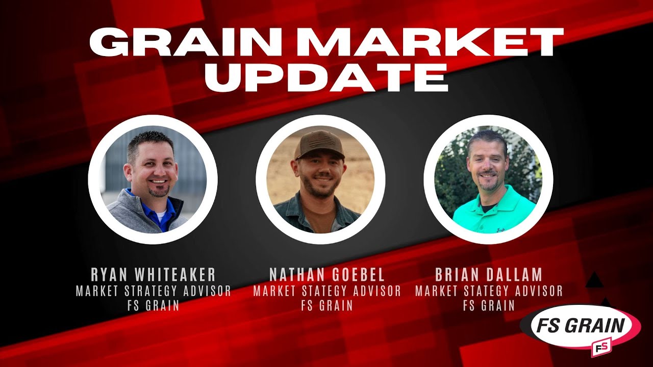 FS GRAIN Year End Video Series Part 2: Market Update - YouTube