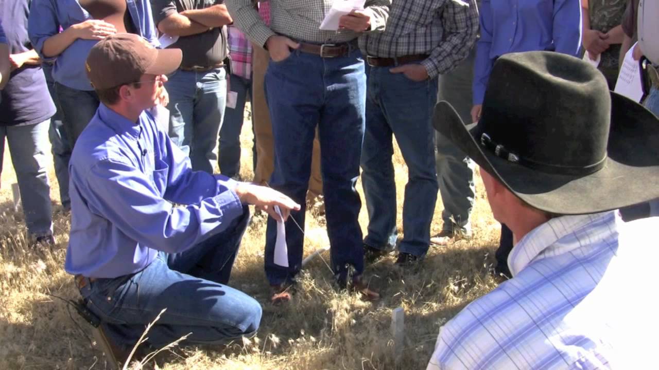 Cheatgrass Workshop Field Trip - part 1 of 2 - YouTube