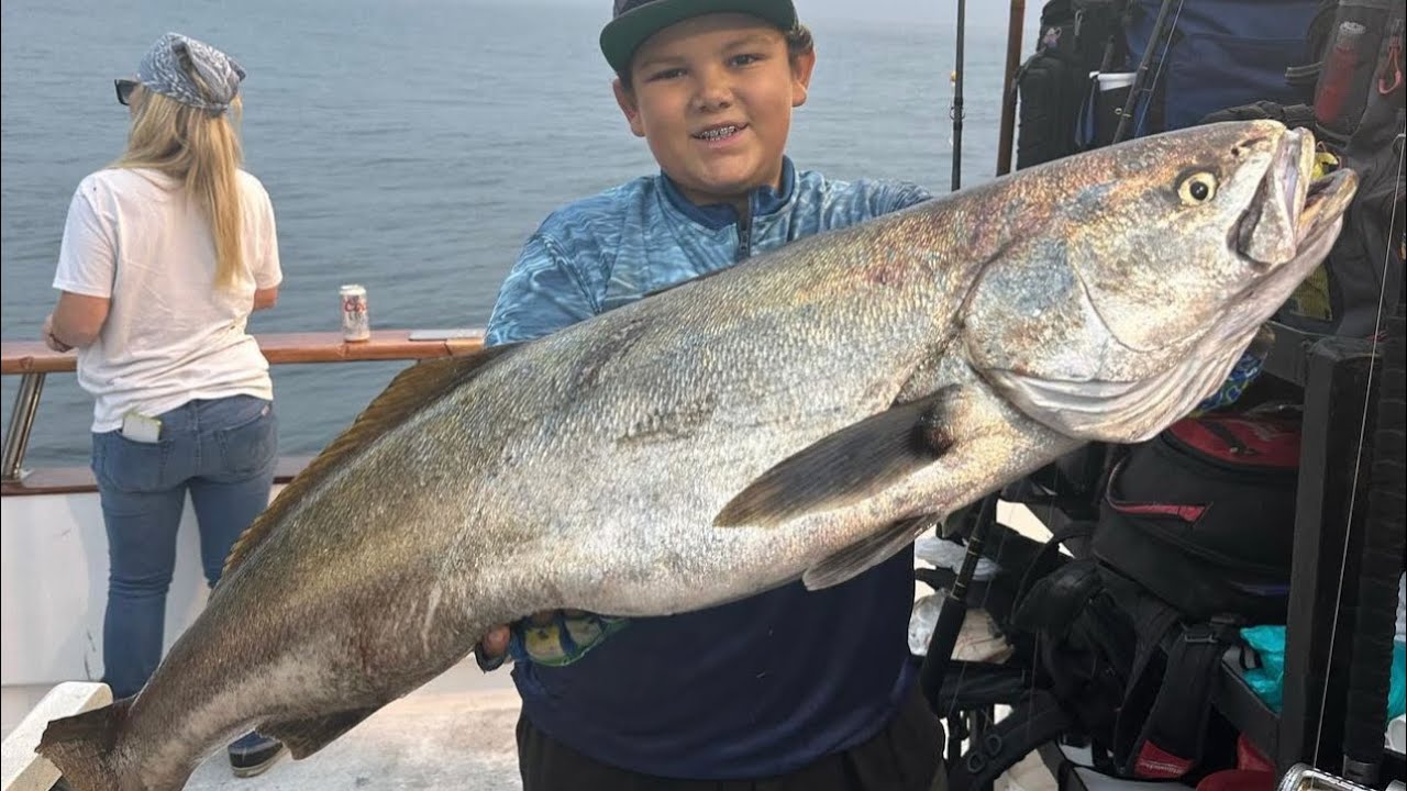 WIDE OPEN WHITESEABASS FISHING!!!! On the seabiscut out of Channel ...