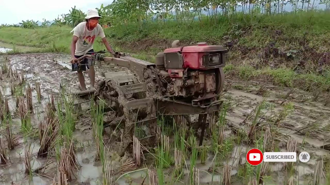 Traktor Tani Quick G1000 Boxer Kubota, Membajak Sawah menggunakan ...