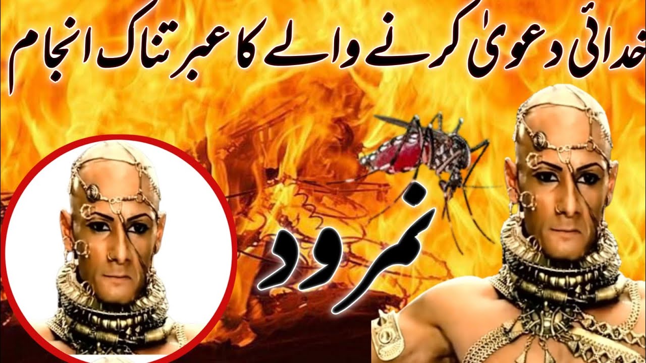 Who was Namrod? | namrood ka anjam | hazrat ibrahim as namrood par ...