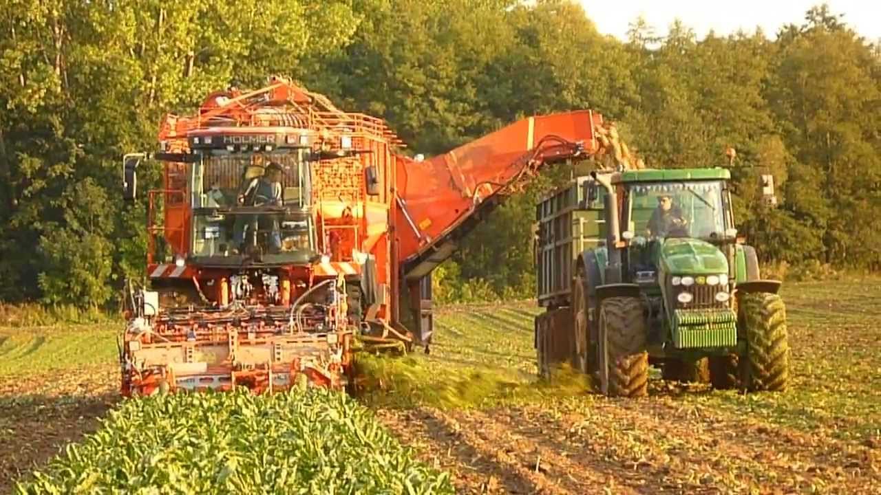 NEW Holmer Terra Dos T3 | John Deere 7920 | HD - YouTube