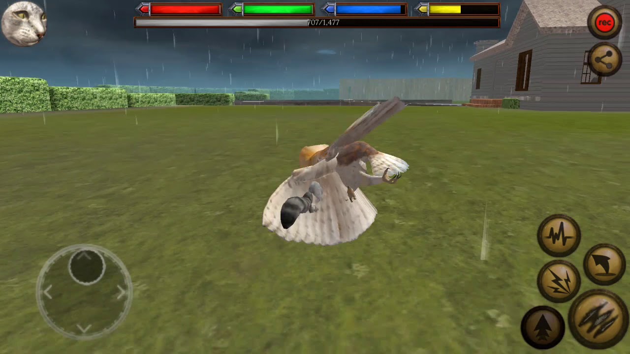 Ultimate cat simulator Episode 1 - YouTube