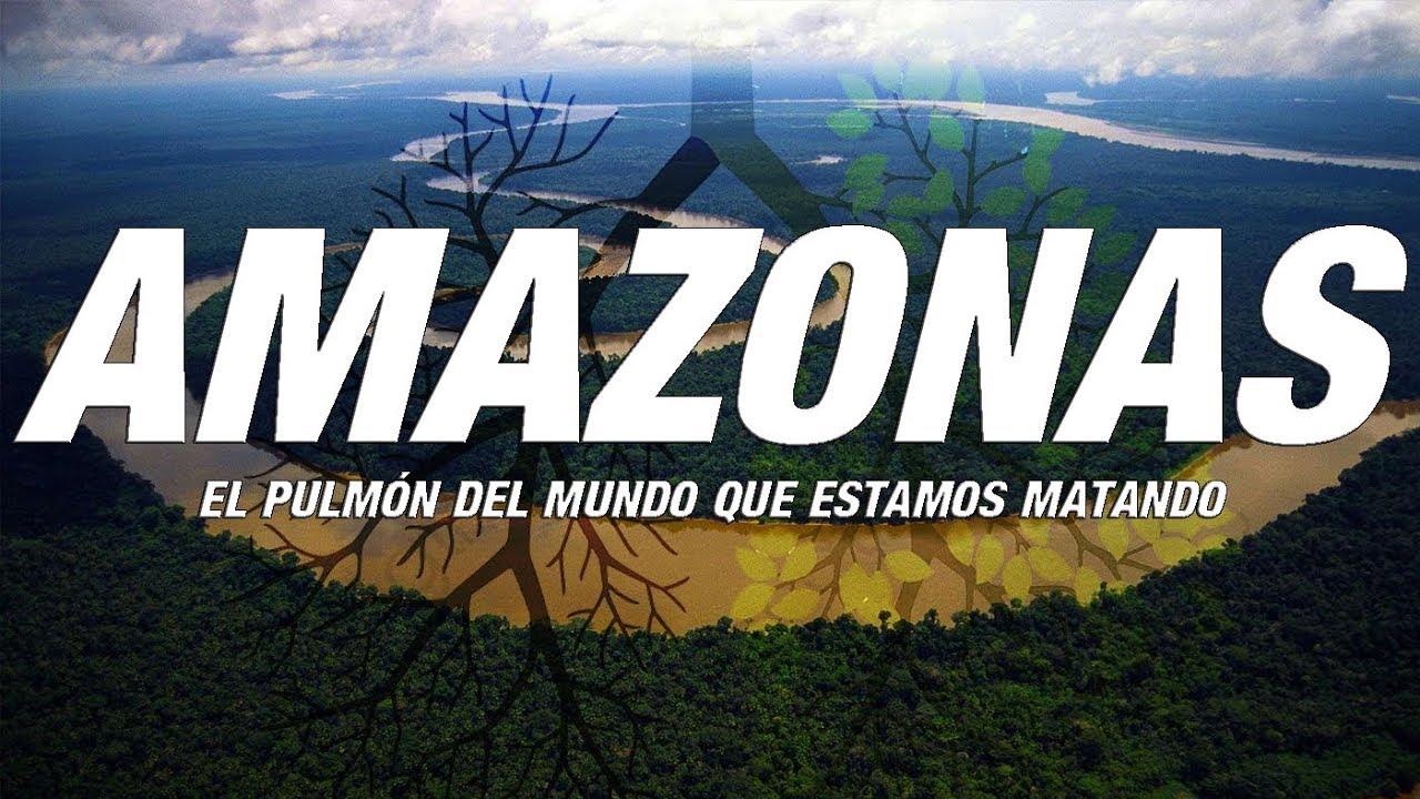 AMAZONAS EL PULMÓN DEL MUNDO QUE ESTAMOS MATANDO - YouTube