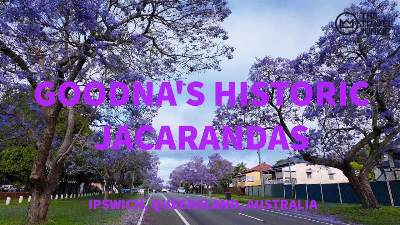 Next Game Reserve Lookout Bruny Island 4 | The Travel Junkie
