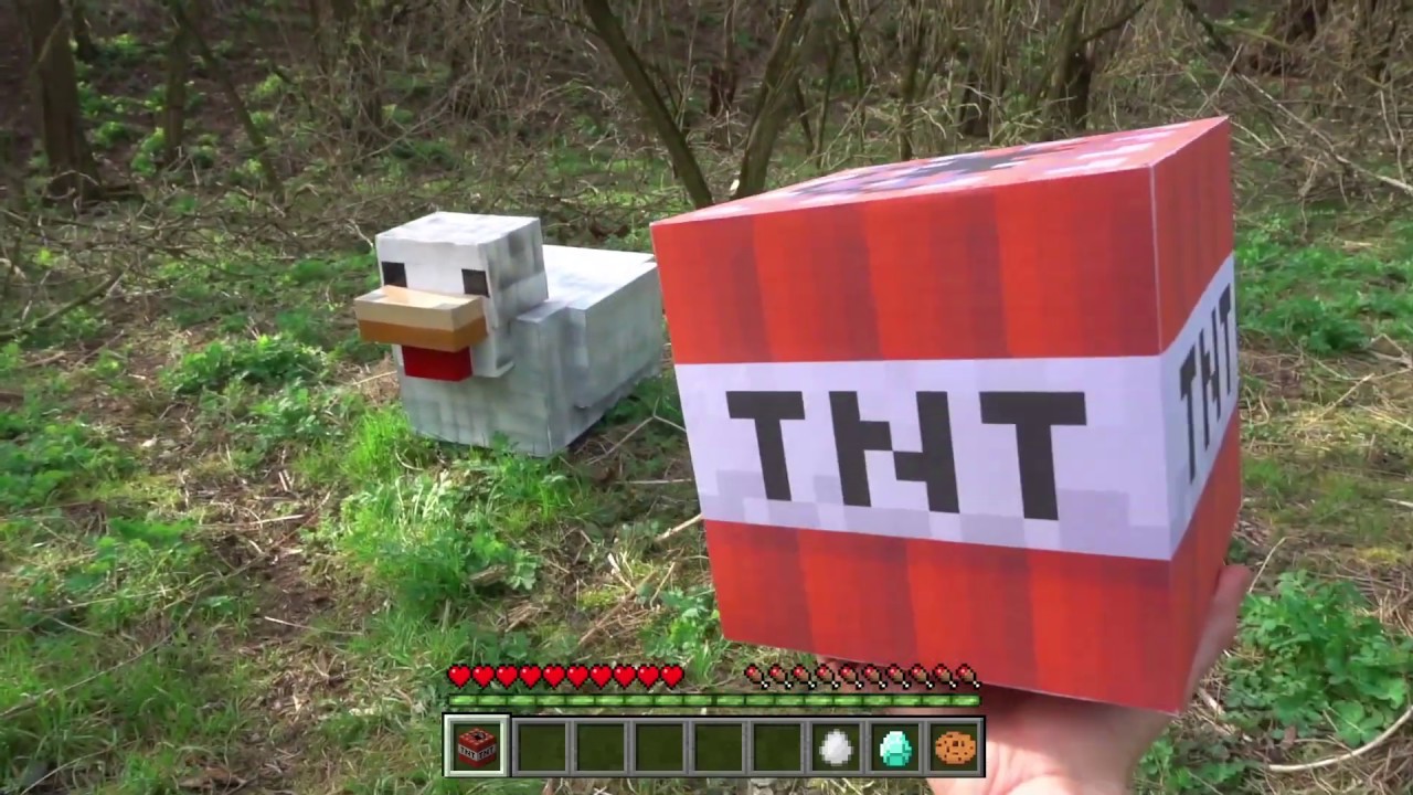 MINECRAFT REAL LIFE TNT and Chicken - IRL Animation - YouTube