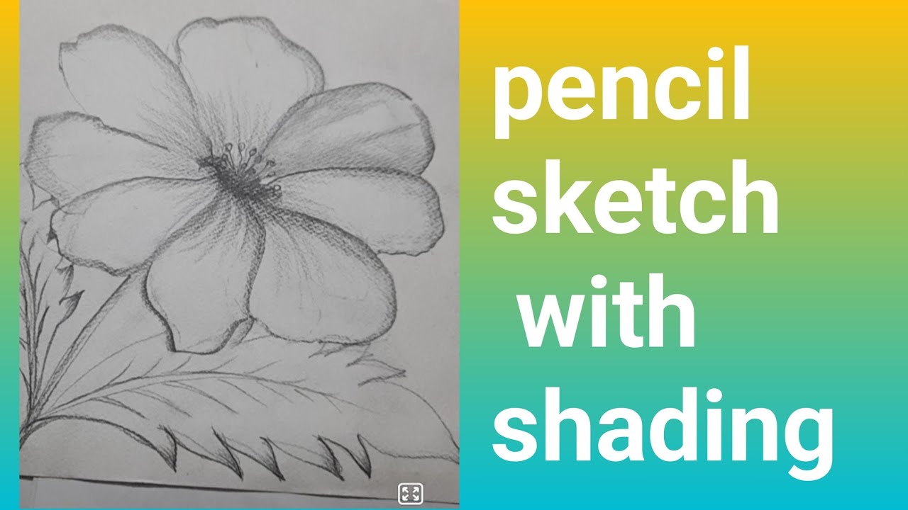 how to draw pencil sketch with shading♤♤♤♤ ••$$$ - YouTube