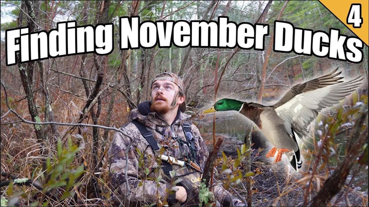 The Late November Duck Hunting Struggle - YouTube