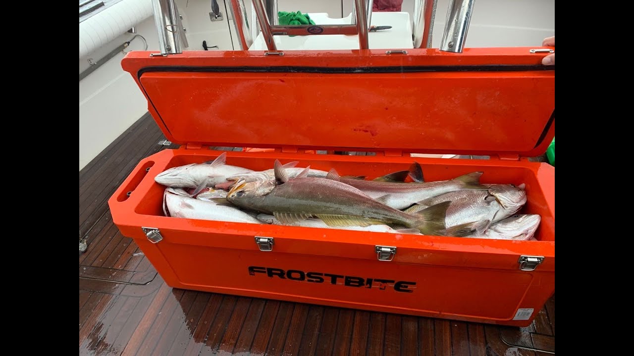 How to Catch Teraglin aka Trag Jew - We filled this 100L Esky NEW ...