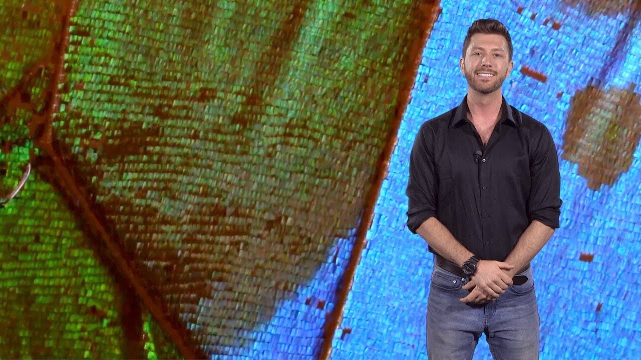 Aaron Pomerantz (UC Berkeley): Decoding Butterfly Color - YouTube