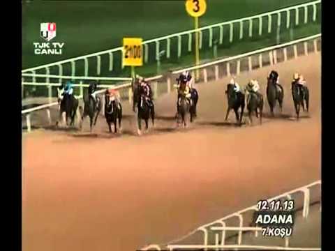 Adana Hipodromu (6. Yarış Günü) 7. Koşusu