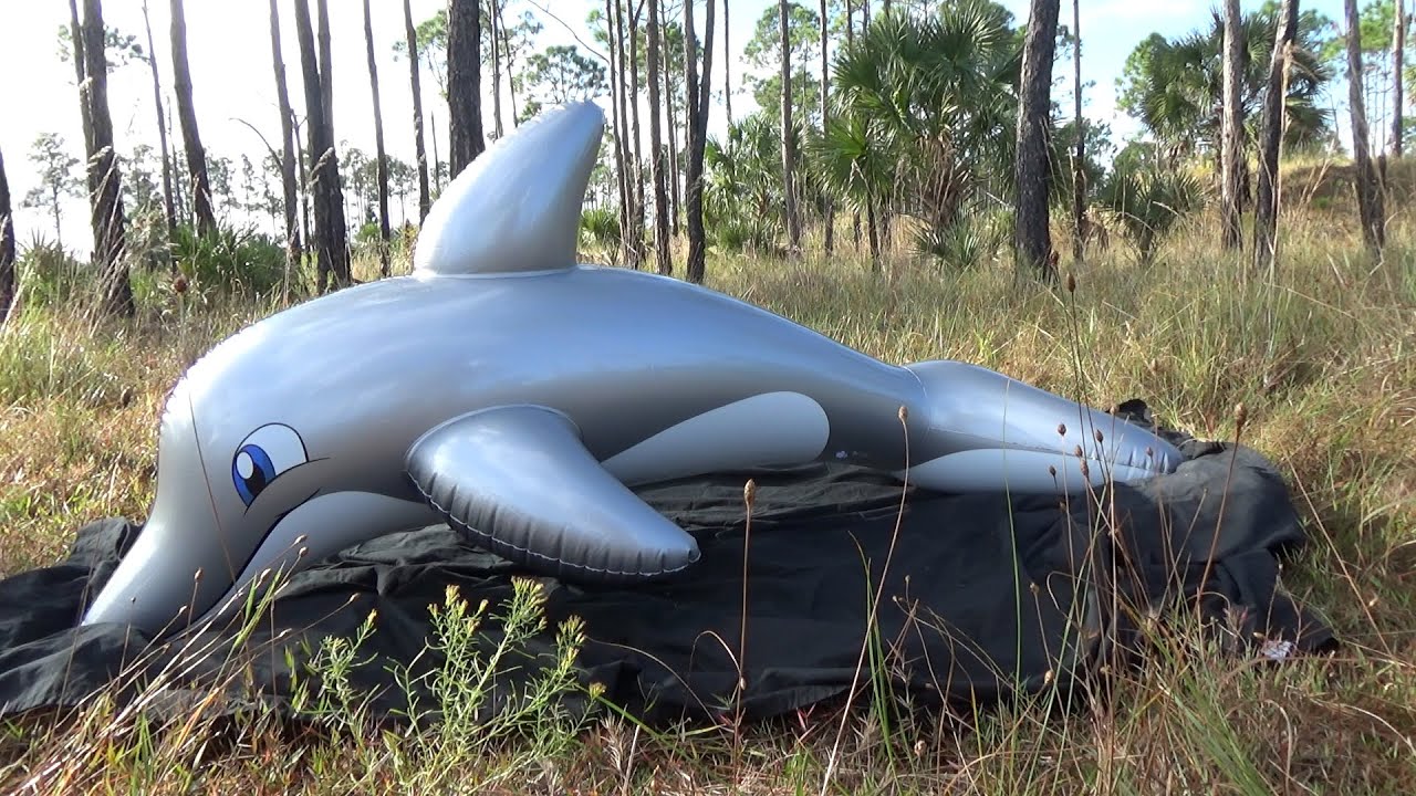 Silver Dolphin Ride-On Pool Toy from Horseplay Toys - YouTube