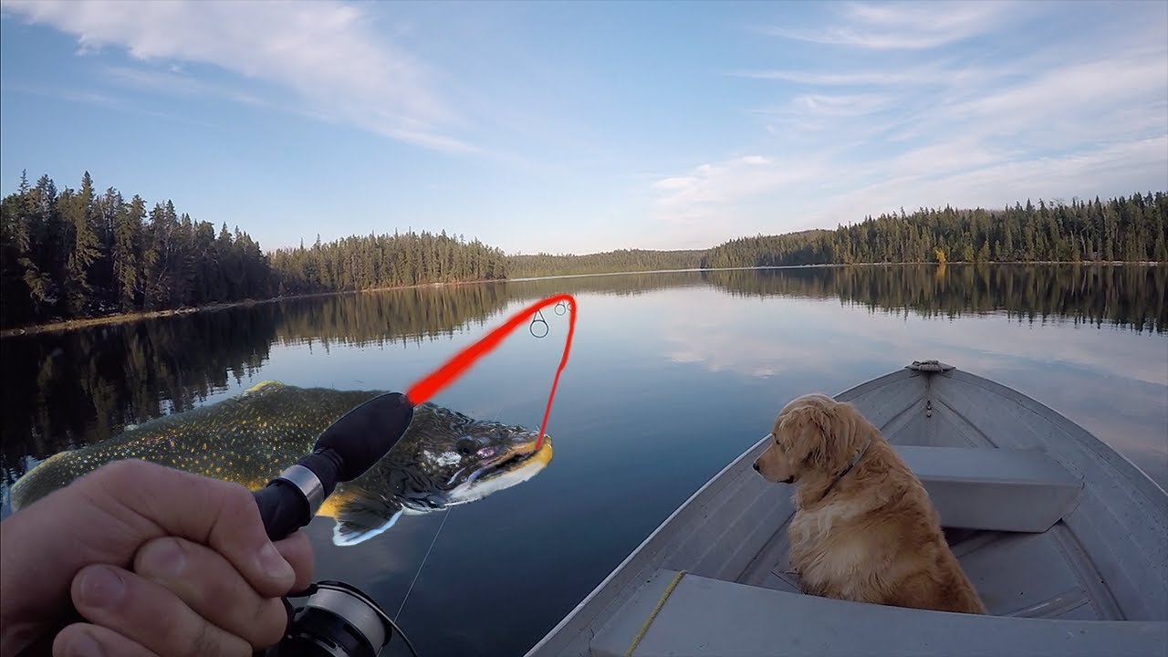 Huge Splake Redemption?! [EPIC] - YouTube