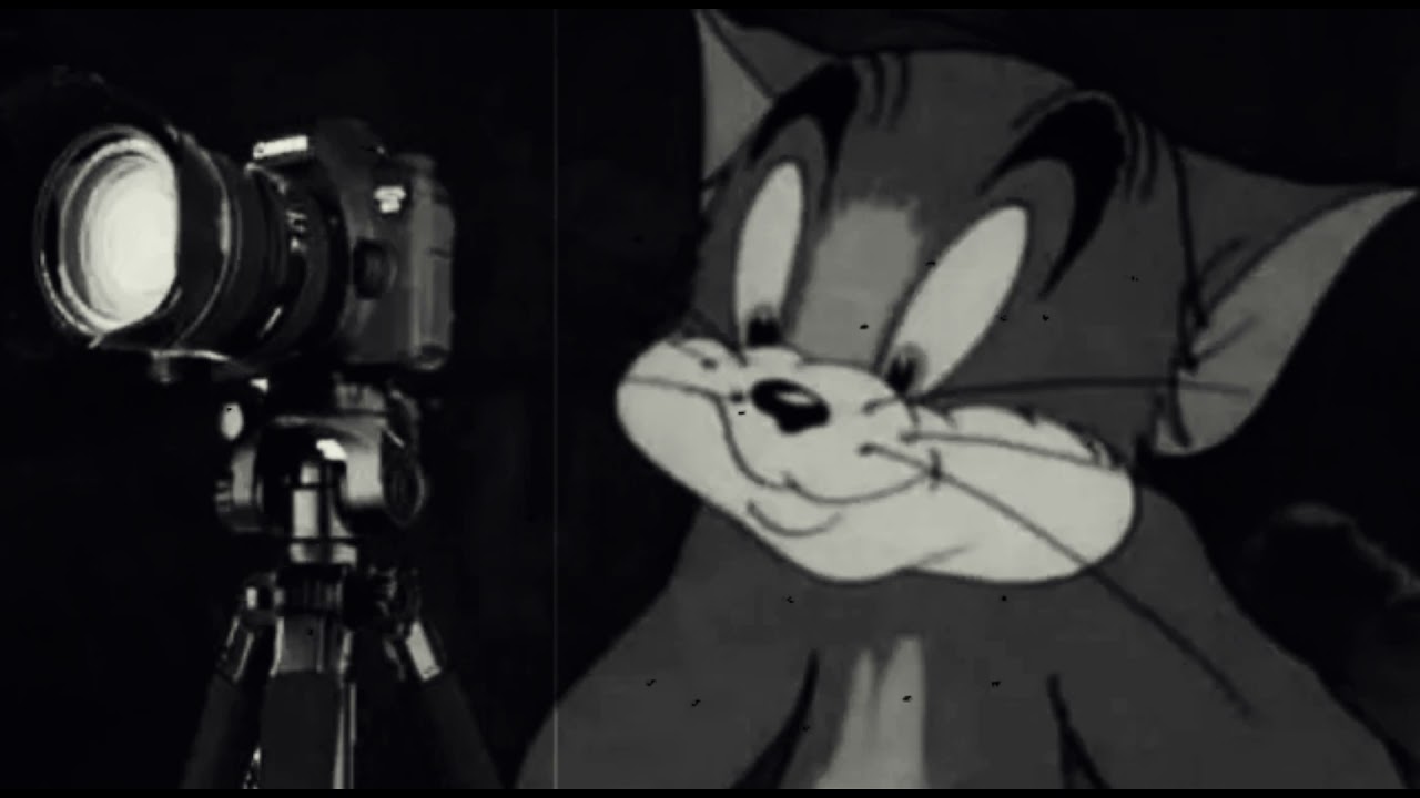 Let people dislike you-Tom the cat picture- Awaken insight - YouTube