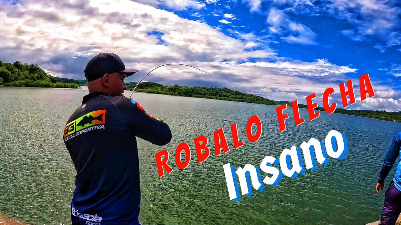 Pescaria de robalo flecha com camarão artificial - YouTube